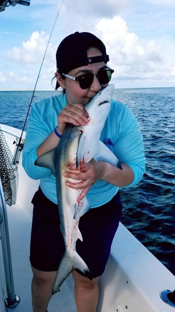 Black Tip Shark Bite